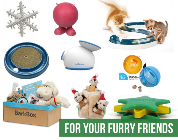 Holiday Gift Guide: For Your Furry Friends & Giveaway – Hello Rigby ...