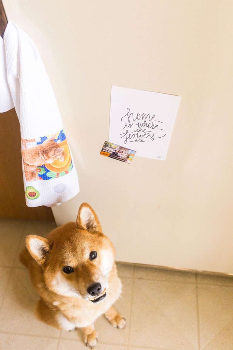 5 Easy Personalized Gifts For Pet Lovers Hello Rigby Seattle Fashion 5-easy-personalized-gifts-for-pet-lovers-hello-rigby-seattle-fashion