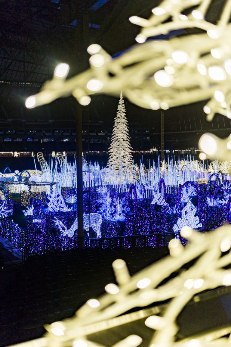 Walking in a Winter Wonderland at Enchant Christmas Seattle – Hello ...
