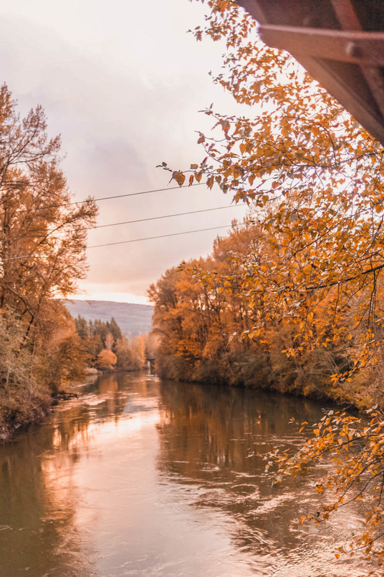 15+ Things to Do to Celebrate Fall in Seattle – Seattle Lifestyle Blog