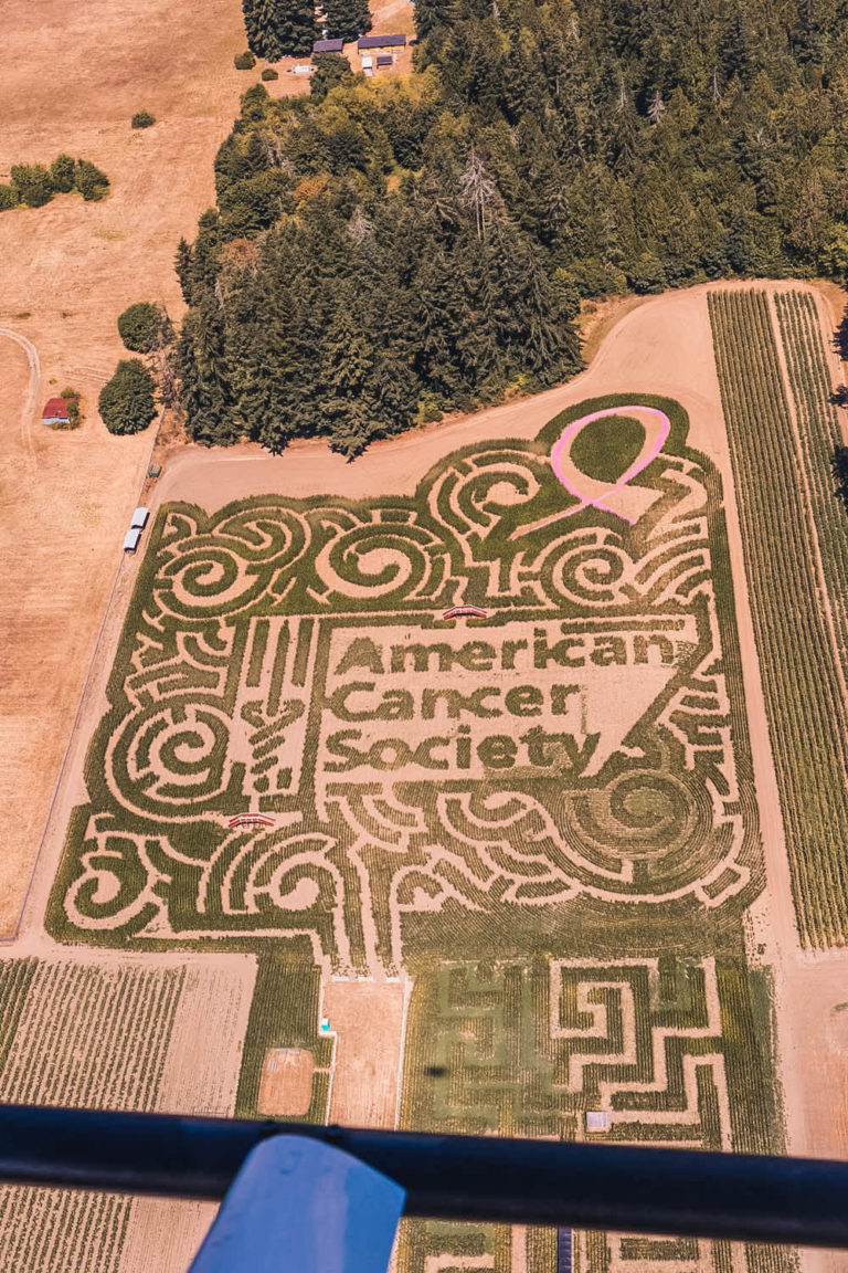 15+ Things to Do to Celebrate Fall in Seattle – Seattle Lifestyle Blog