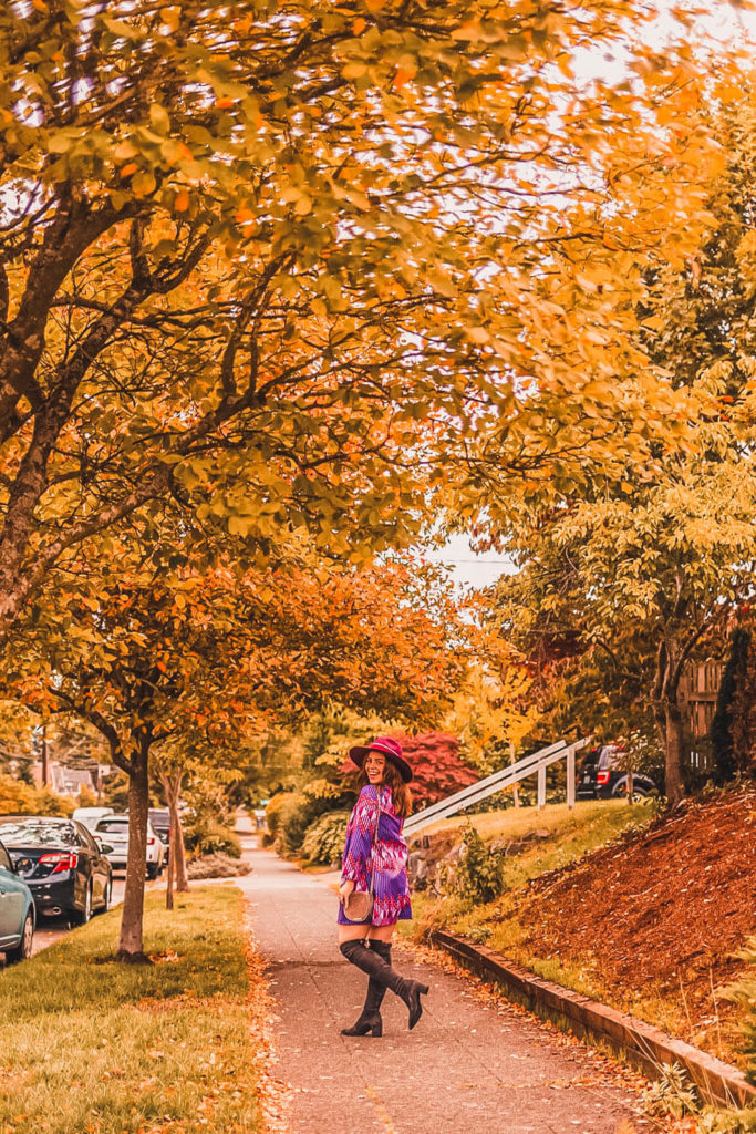 15+ Things to Do to Celebrate Fall in Seattle – Seattle Lifestyle Blog