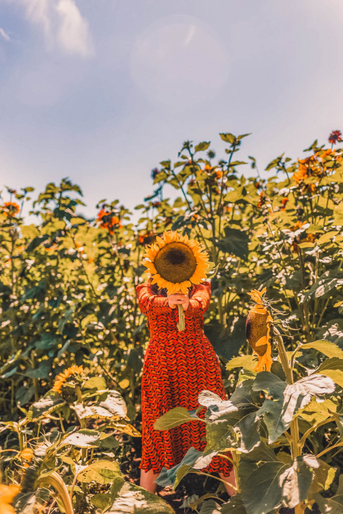 15+ Things to Do to Celebrate Fall in Seattle – Seattle Lifestyle Blog