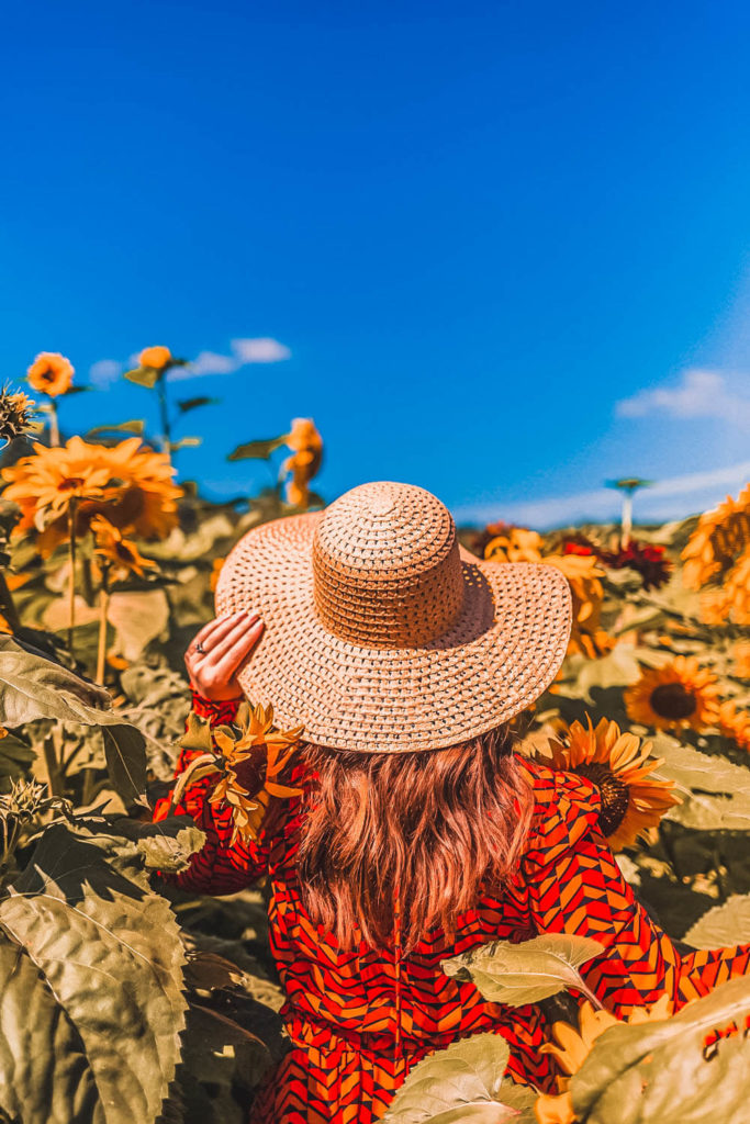 15+ Things to Do to Celebrate Fall in Seattle – Seattle Lifestyle Blog